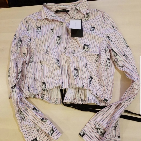 Zara | Tops | New Zara Cat Cute Blouse | Poshmark